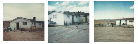 Photo Gallery | Sheepsprings