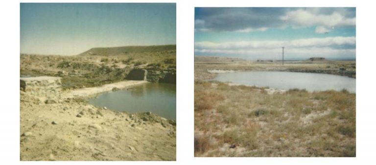 Photo Gallery | Sheepsprings