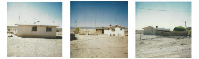 Photo Gallery | Sheepsprings